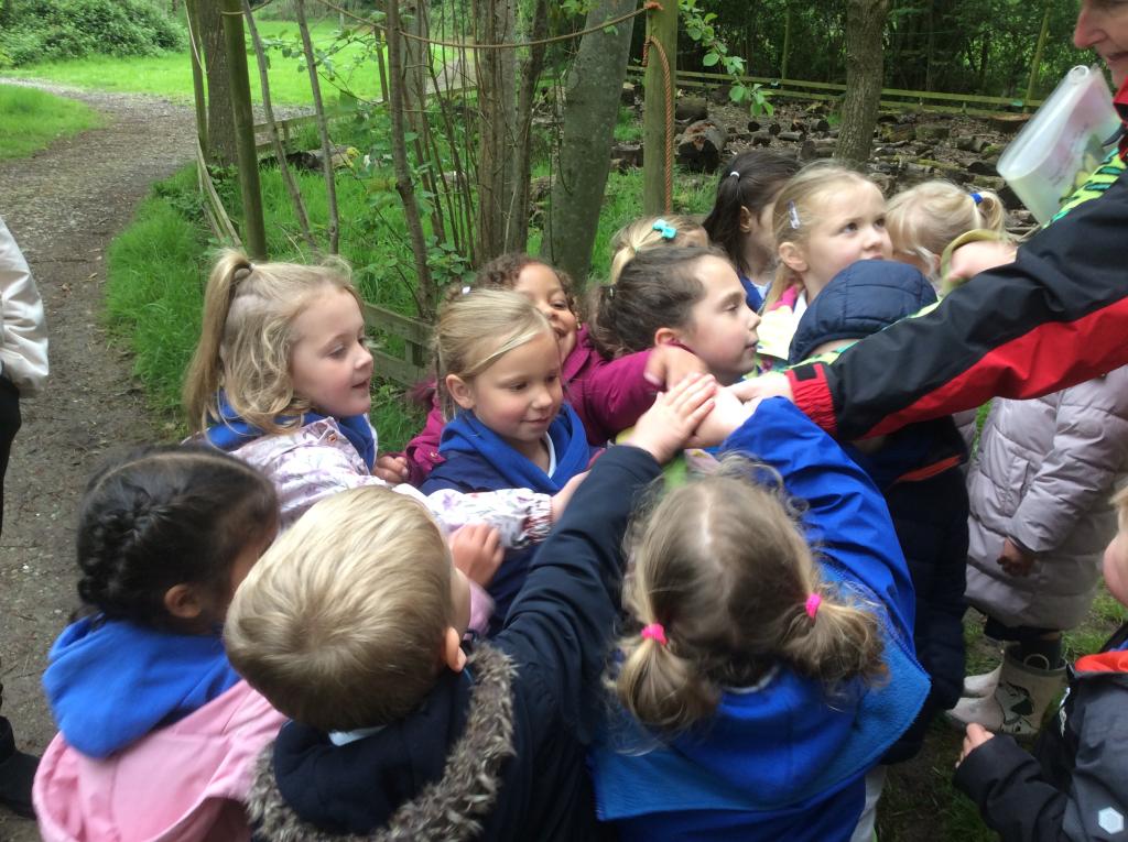 Nell Bank | Kildwick CE Primary School