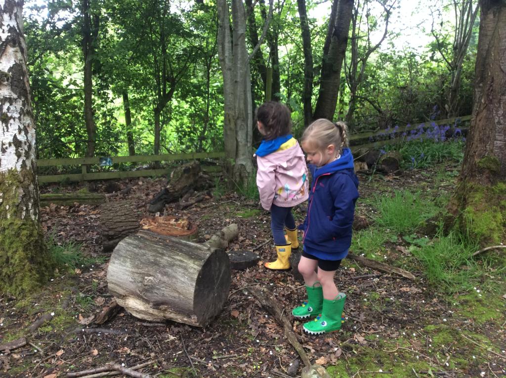 Nell Bank | Kildwick CE Primary School